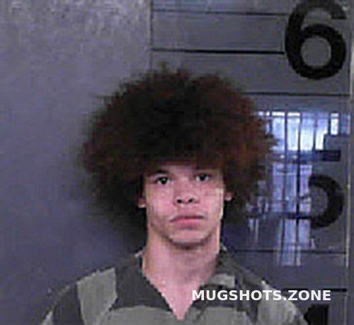 SMITH ANTHONY JACOB 02/15/2025 - Chambers County Mugshots Zone