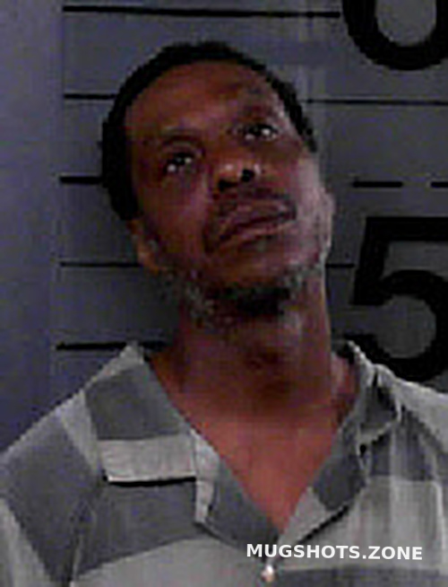 HOLLOWAY JARVIS BENARD 03/18/2025 - Chambers County Mugshots Zone