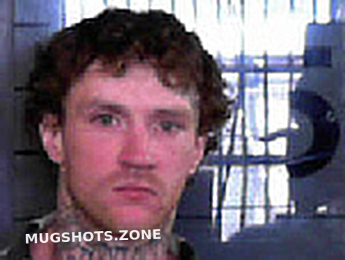 TERRY TYSON 03/27/2025 - Chambers County Mugshots Zone