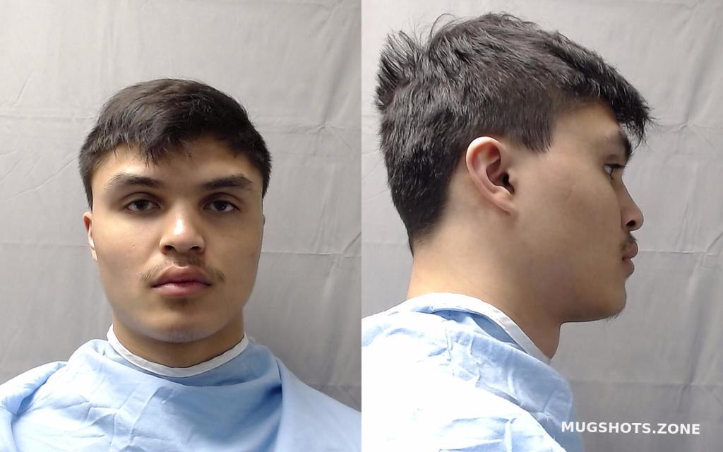 MAMMEN ANDREW JONATHAN 04/01/2021 - Champaign County Mugshots Zone