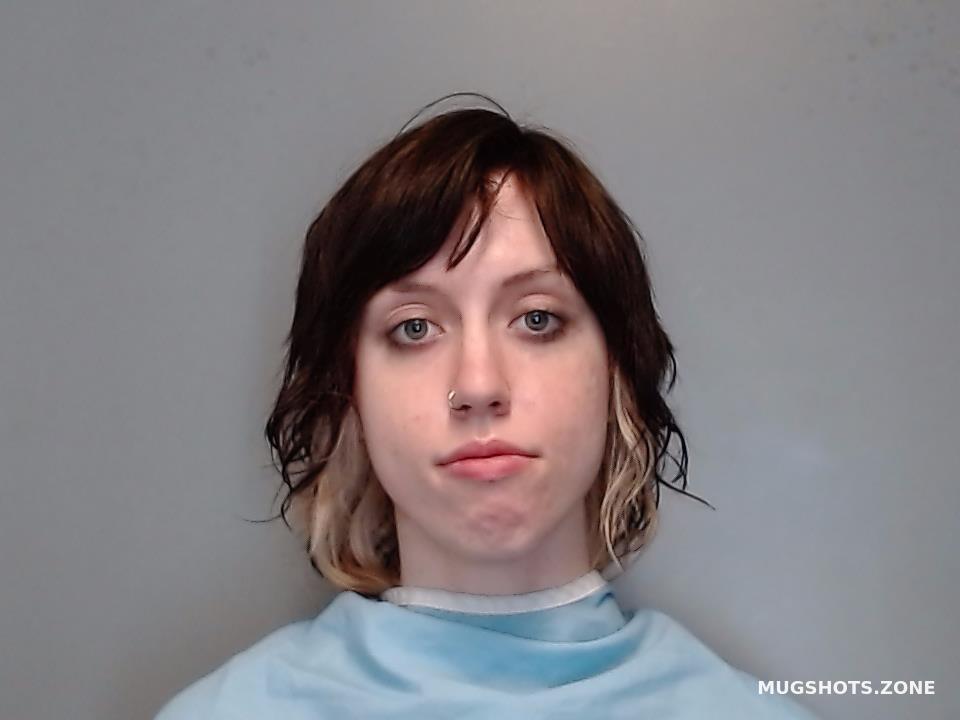 Clymer Tabitha Marie 04 30 2021 Champaign County Mugshots Zone
