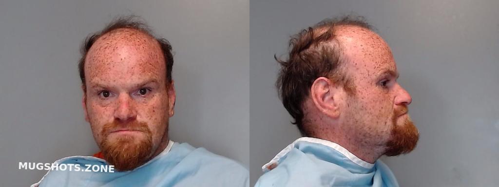DILLMAN TRAVIS LEE 05/05/2021 - Champaign County Mugshots Zone