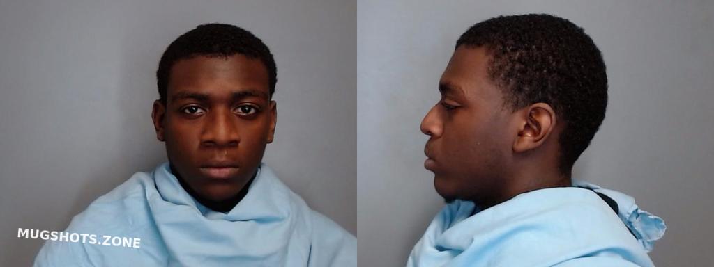 PARRISH DOMINIC WALTER 11/03/2021 - Champaign County Mugshots Zone