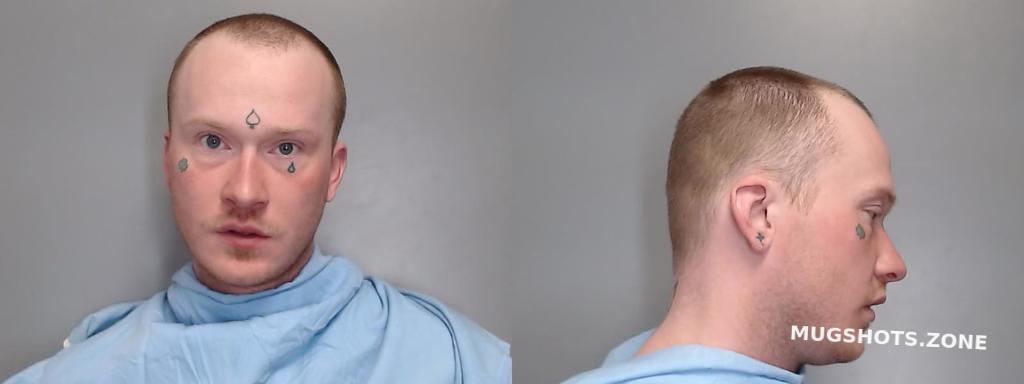 MULCAHEY MARTIN ROBERT 02/08/2022 - Champaign County Mugshots Zone