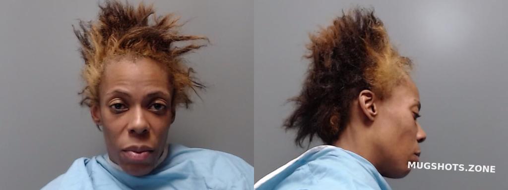 SMITH SHAMIRA RENEE 02/11/2022 - Champaign County Mugshots Zone