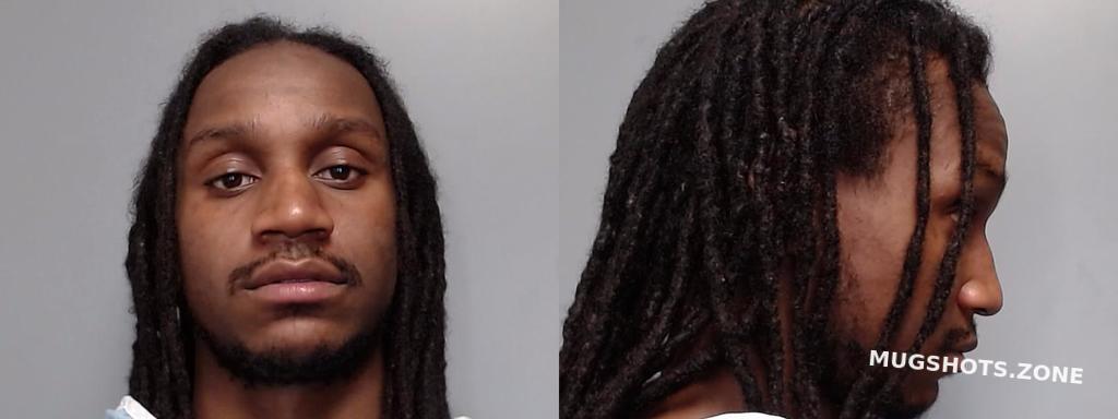 MATTHEWS PATRICK RAFAEL 02/25/2022 - Champaign County Mugshots Zone