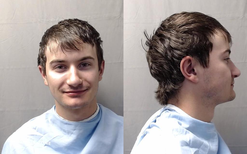 HADLER DALTON DEAN 02/28/2022 - Champaign County Mugshots Zone