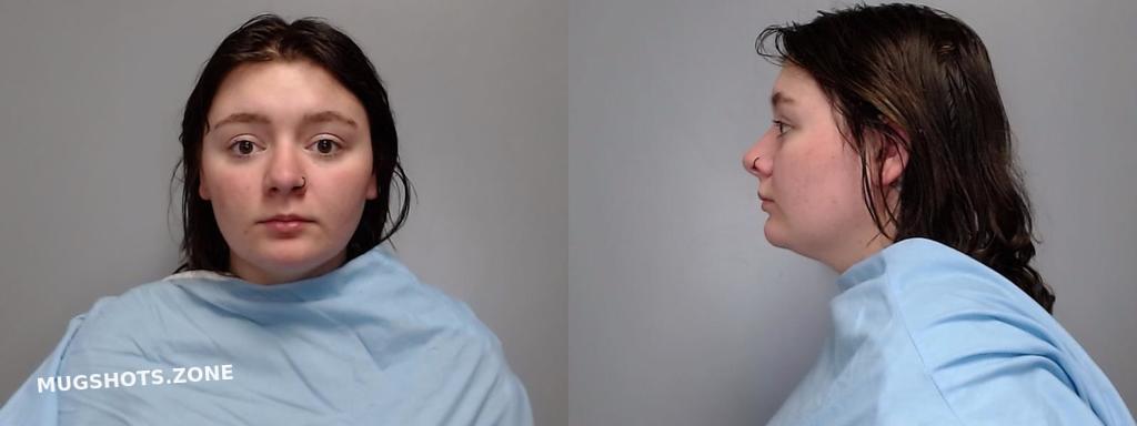 TERRY CHEYENNE MICHELLE 05/11/2022 - Champaign County Mugshots Zone