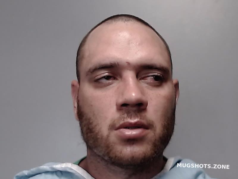 POKOJSKI TRAVIS RYAN 06/06/2022 - Champaign County Mugshots Zone