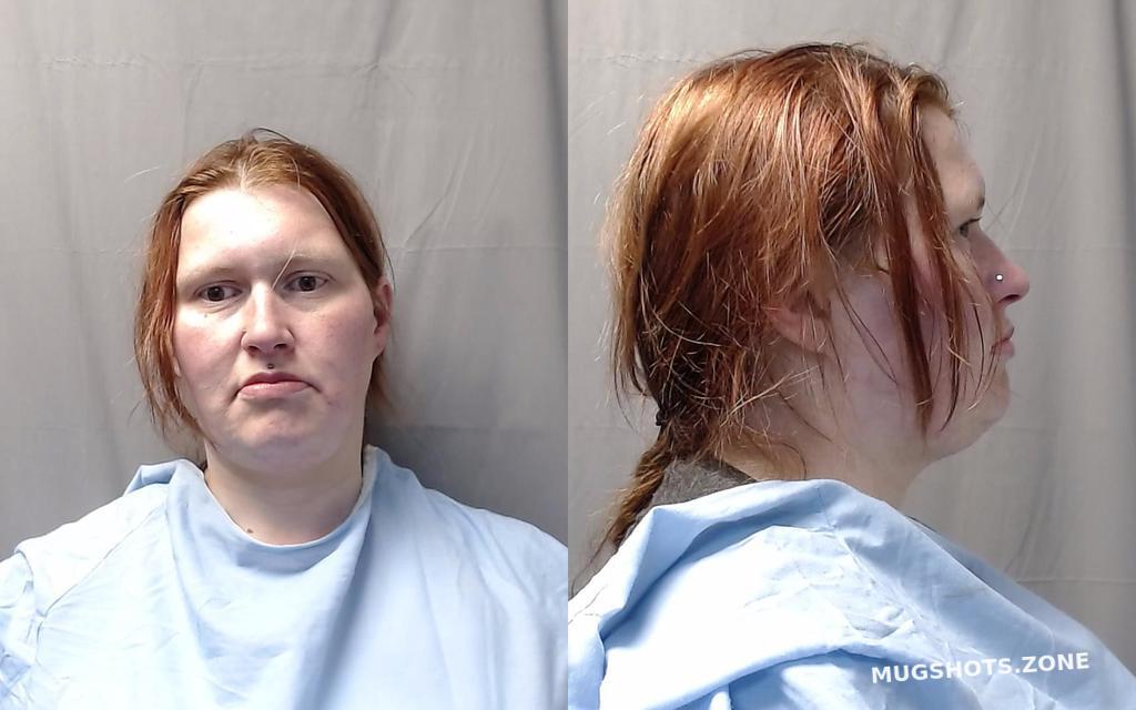 JOHNSTON MISTY DAWN 08/16/2022 - Champaign County Mugshots Zone