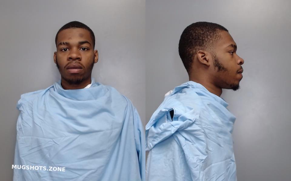 LINDSEY SANTITO R 08/29/2022 - Champaign County Mugshots Zone