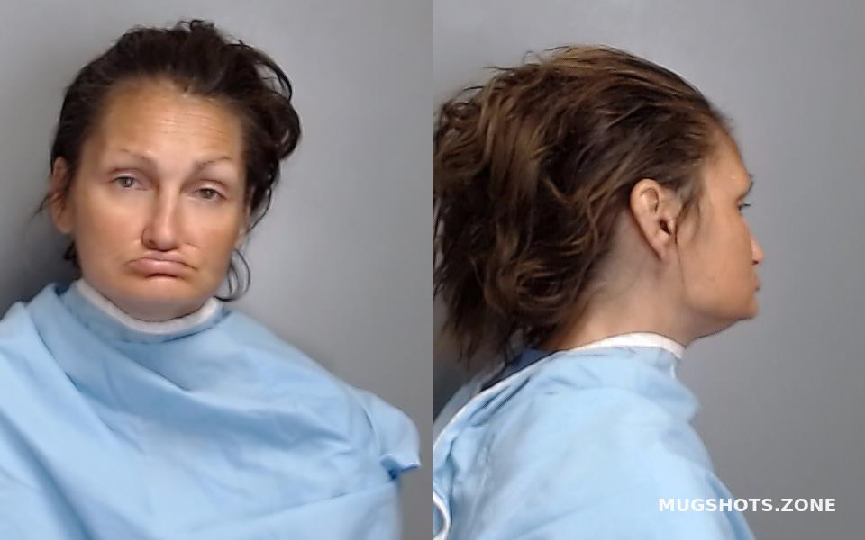 STARGLE STACEY LYNN 09/14/2022 - Champaign County Mugshots Zone