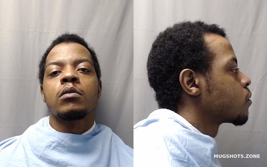 TEMPLE DAVID ROBERT 10/19/2022 - Champaign County Mugshots Zone