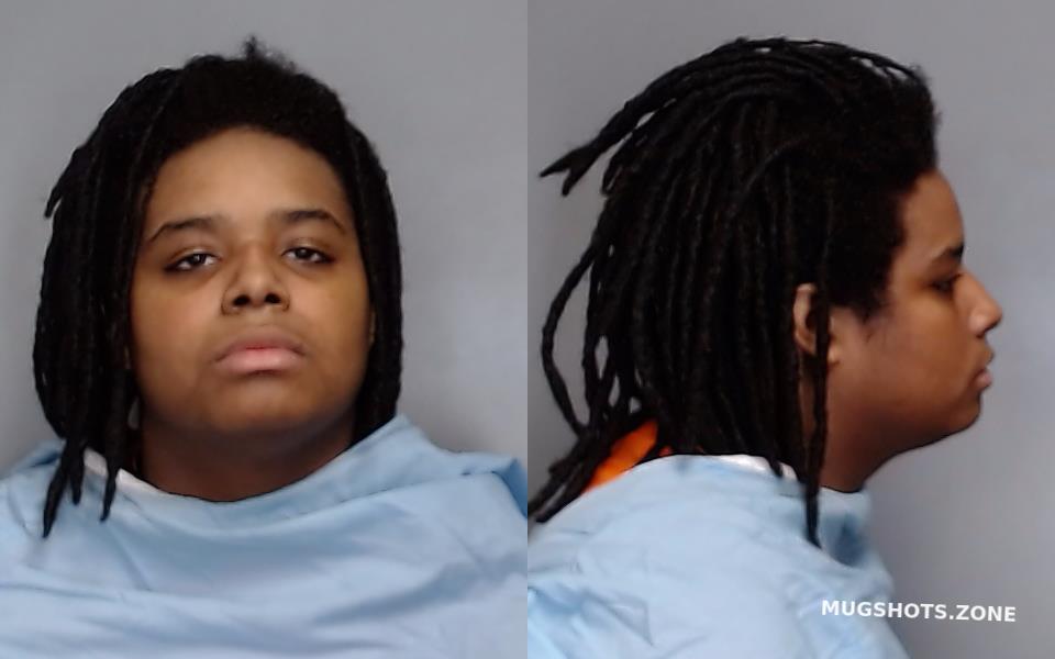 MITCHELL DIAMOND PAULETTE 10/25/2022 - Champaign County Mugshots Zone
