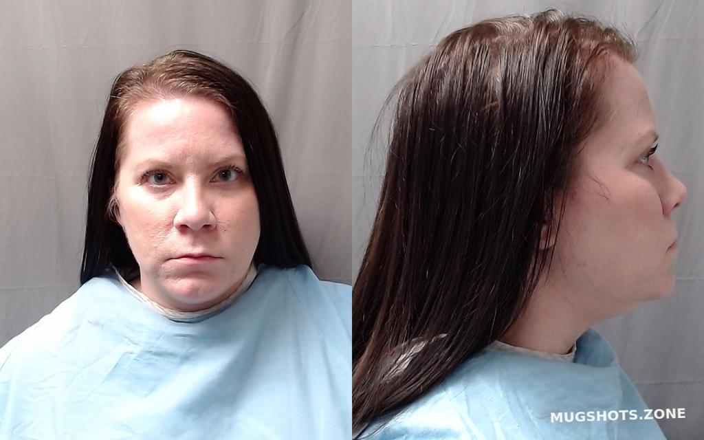 Ray Jessica Judith 11 07 2022 Champaign County Mugshots Zone