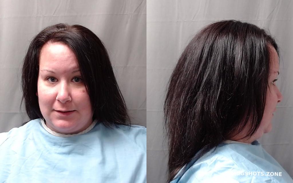 Lee Haven Renee 11 07 2022 Champaign County Mugshots Zone