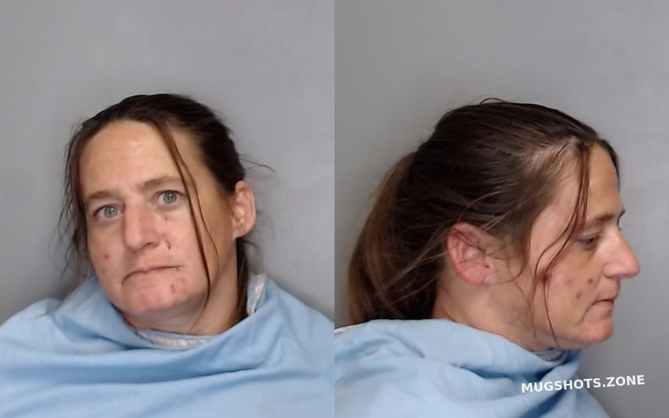 COAD CHARLIE ANNE 11/12/2022 - Champaign County Mugshots Zone