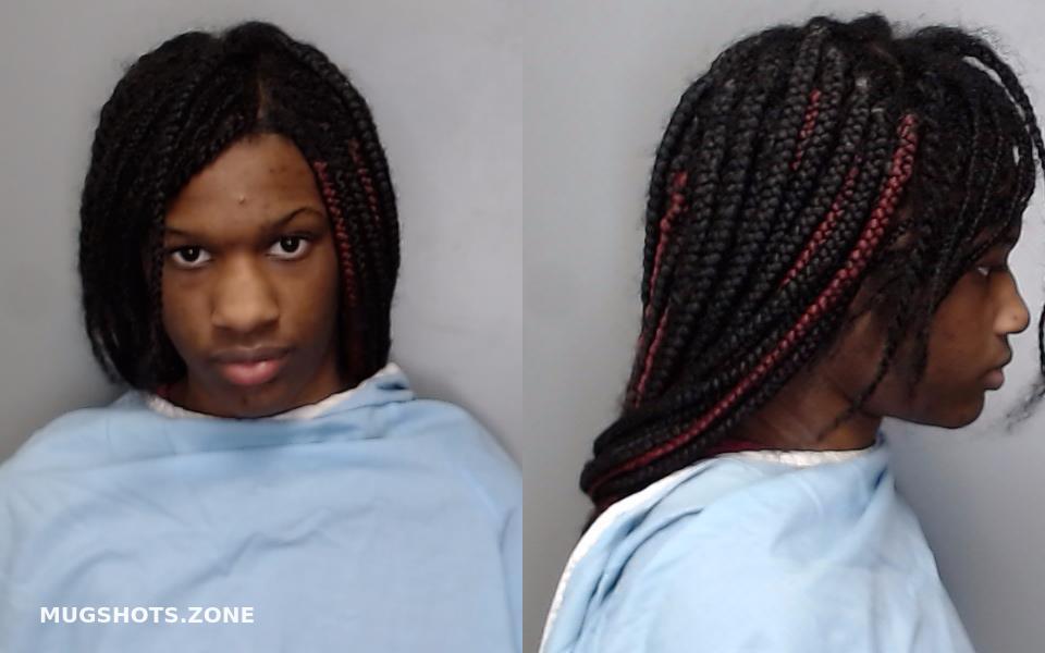 Craig December Anette 11 22 2022 Champaign County Mugshots Zone