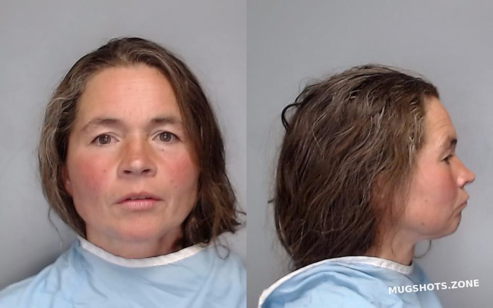 SCOVIL AMY MARIA 12/02/2022 - Champaign County Mugshots Zone