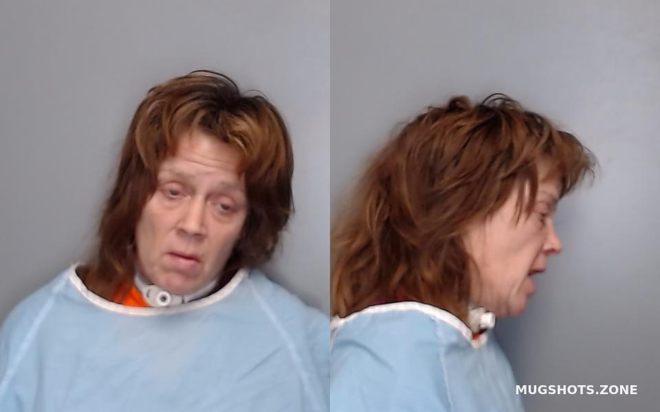 NOLAN TONIA MICHELLE 12/13/2022 - Champaign County Mugshots Zone