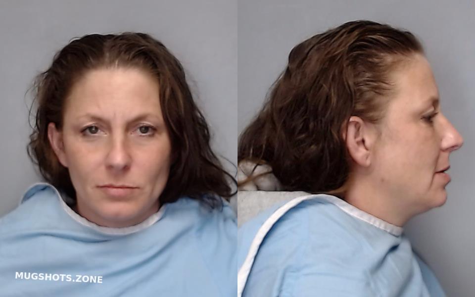 RIGGS SHELLY ALENE 01/29/2023 - Champaign County Mugshots Zone