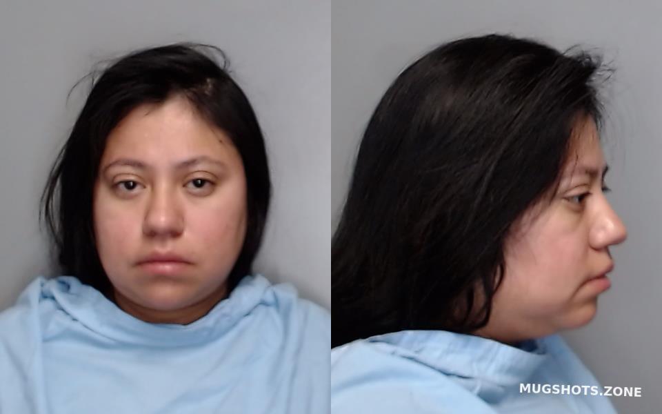 ZAMUDIO-AQUINO ISIS 03/07/2023 - Champaign County Mugshots Zone