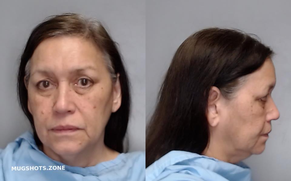 KRAUSE DEBBIE A 03/18/2023 - Champaign County Mugshots Zone