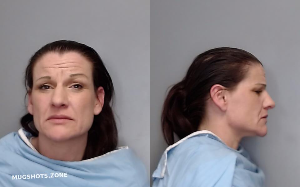 DREYER JANINA ANGELA 03/19/2023 - Champaign County Mugshots Zone