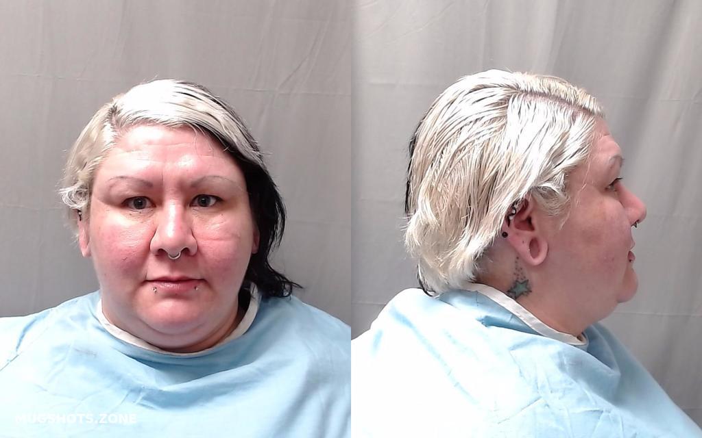 LARBIG PAGE RENEE 03/28/2023 - Champaign County Mugshots Zone