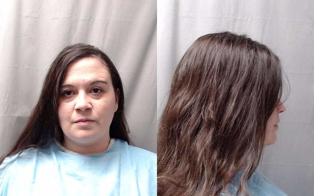 Piatt Cynthia Marie 03 30 2023 Champaign County Mugshots Zone