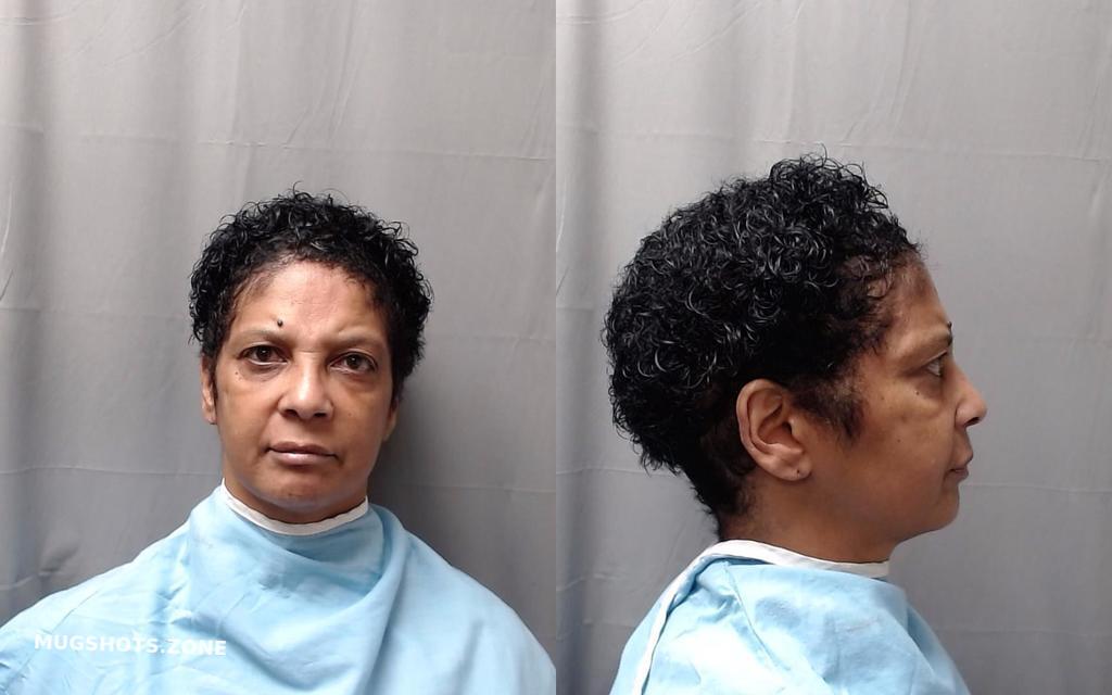 JONES LINDA JANE 04/18/2023 - Champaign County Mugshots Zone