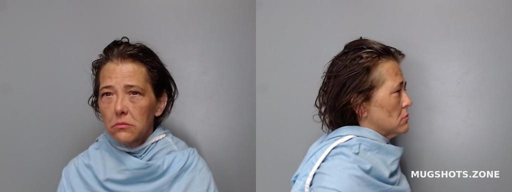 ALLEN-LARSON SHERYL JEAN 05/19/2023 - Champaign County Mugshots Zone