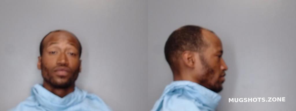 GWIN RAYMOND CHARLES 05/29/2023 - Champaign County Mugshots Zone