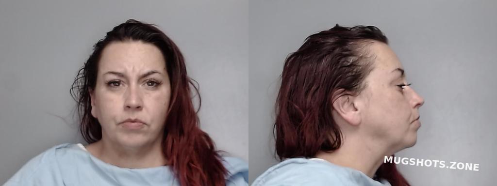 ZOCH SHERRY LEE 06/11/2023 - Champaign County Mugshots Zone