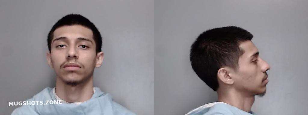 MOLINERO JUNIOR ISMAEL 06/11/2023 - Champaign County Mugshots Zone