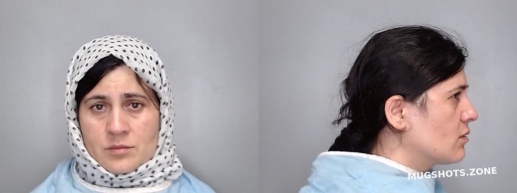 AZIZI SHAKILA 06/24/2023 - Champaign County Mugshots Zone