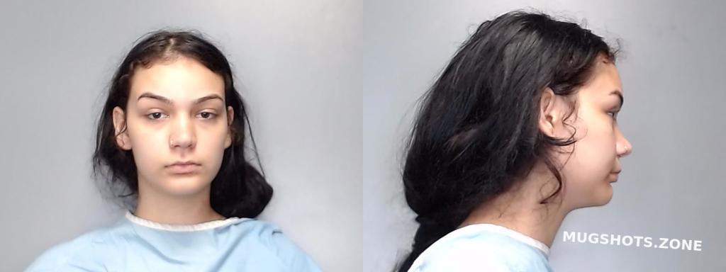 Schlernitzaver Adriana Jade 07212023 Champaign County Mugshots Zone