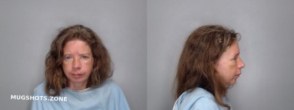 THOMPSON STACY LYNN 08/04/2023 - Champaign County Mugshots Zone