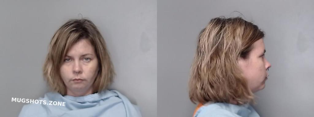 SCHNEPPER STEPHANIE KAYE 08/15/2023 - Champaign County Mugshots Zone