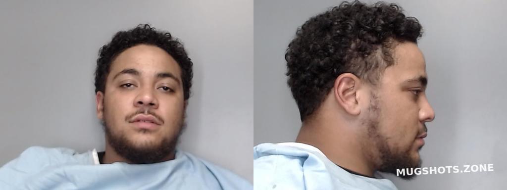 ESPELAND DEVIN TYLER 08/20/2023 - Champaign County Mugshots Zone