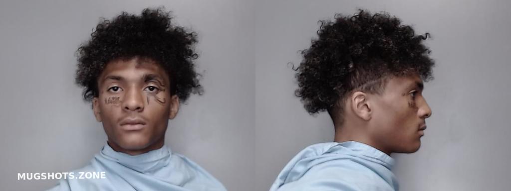 RHOADS-LINZY ISAIAH RAY 08/25/2023 - Champaign County Mugshots Zone