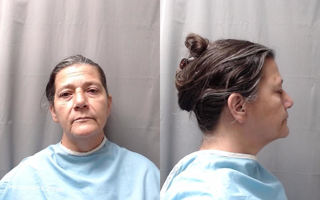 EBERT SHERI ANN 09/12/2023 - Champaign County Mugshots Zone