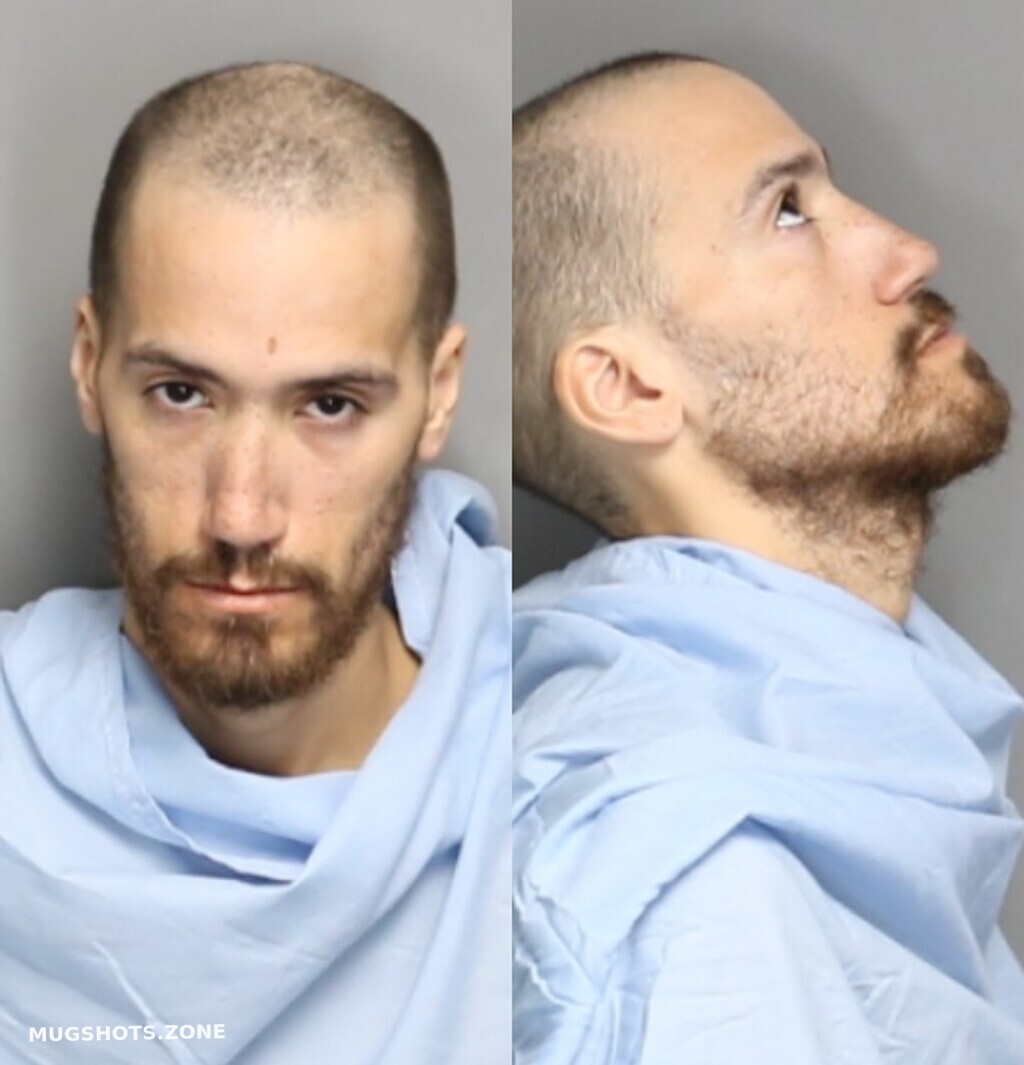 JONES JOSHUA LYNN 01/25/2026 - Champaign County Mugshots Zone