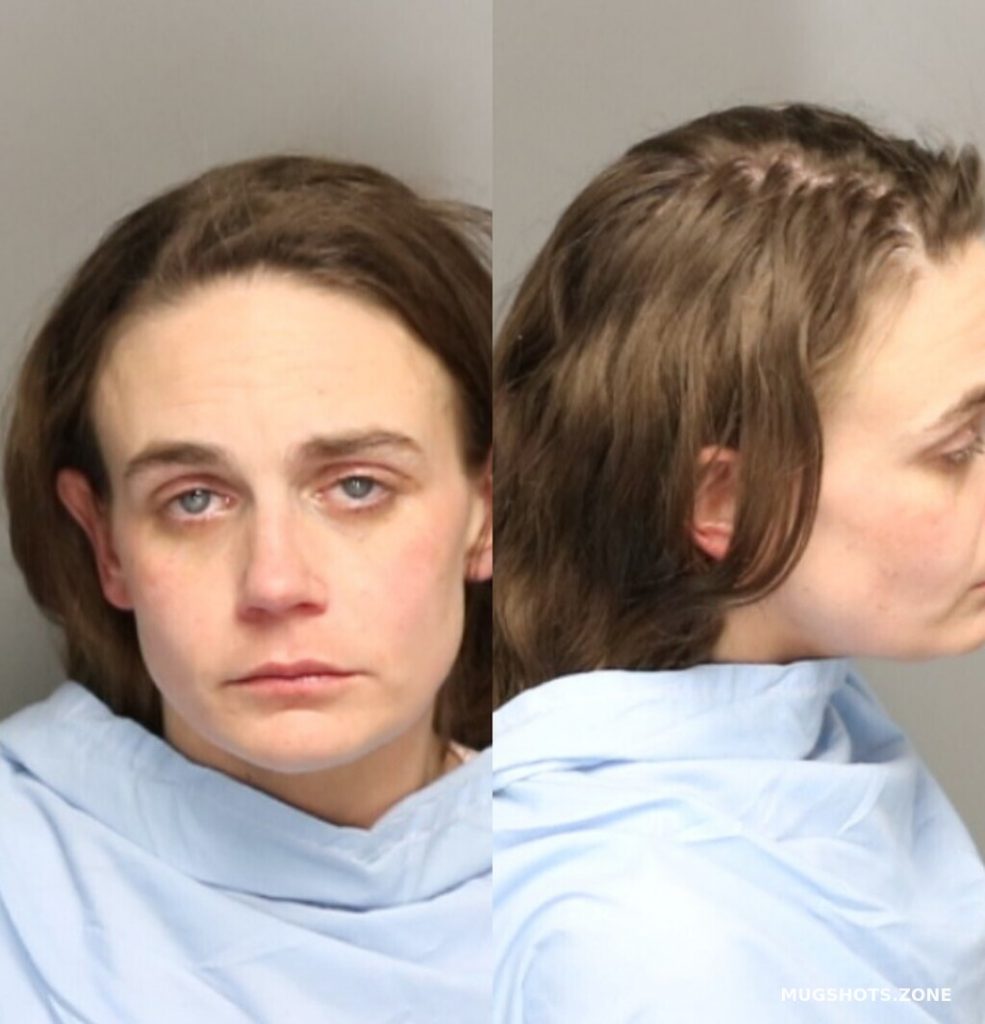 ERVIN MICA LYNN 01/29/2026 - Champaign County Mugshots Zone