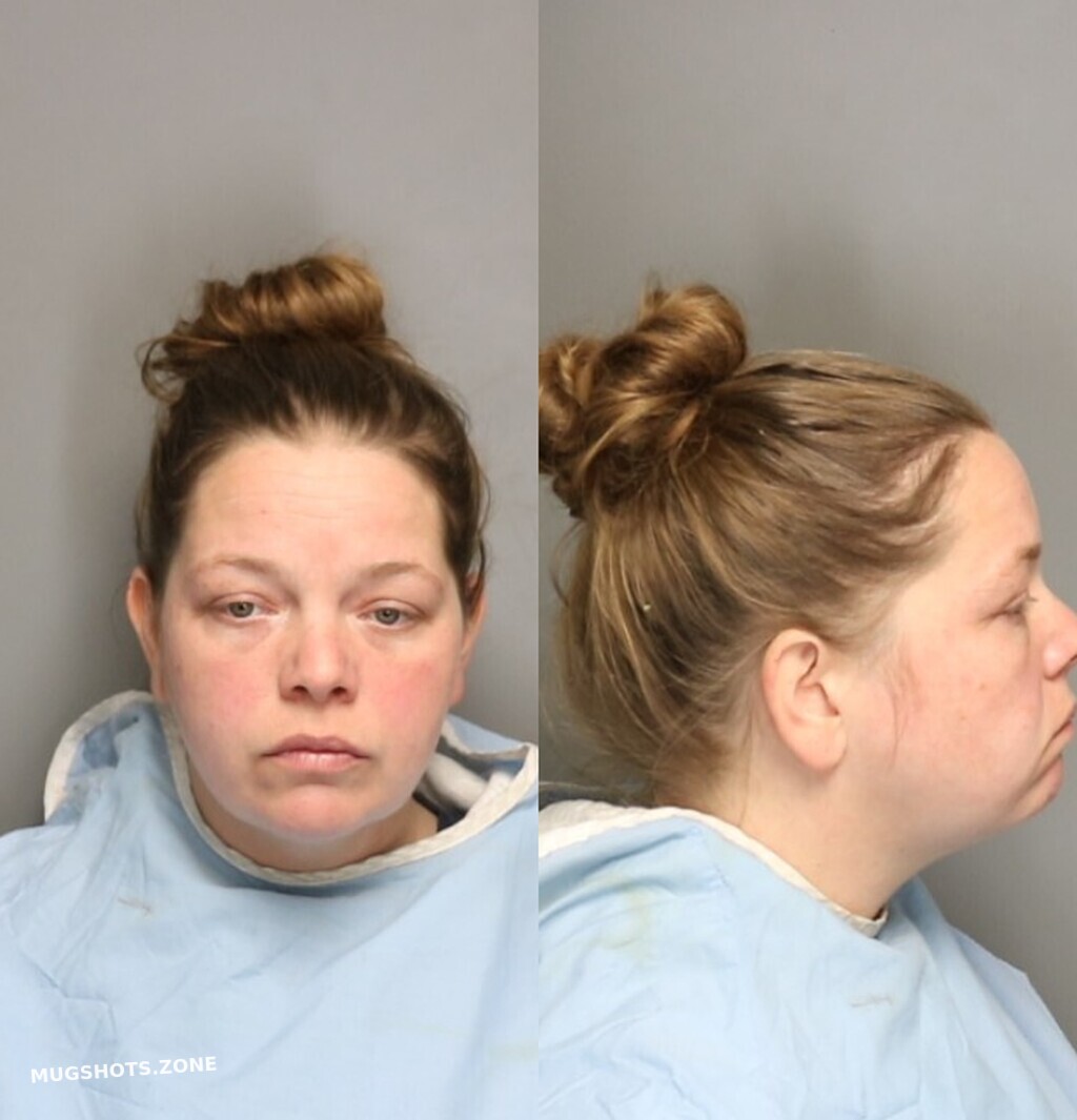 SCHMIDT CHELSEA JEAN 01/30/2026 - Champaign County Mugshots Zone