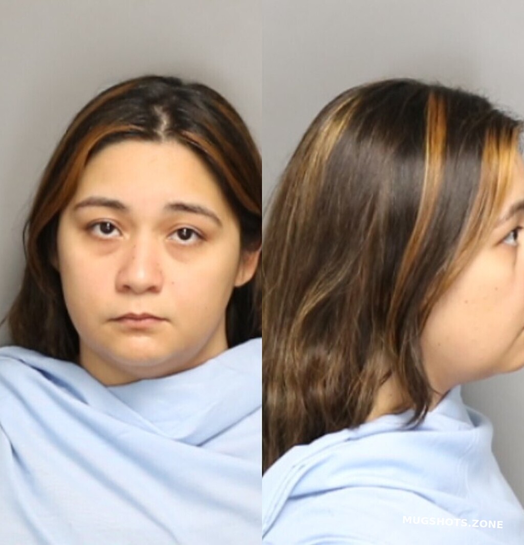 RODRIGUEZ EMALY CELINE 02/11/2026 - Champaign County Mugshots Zone