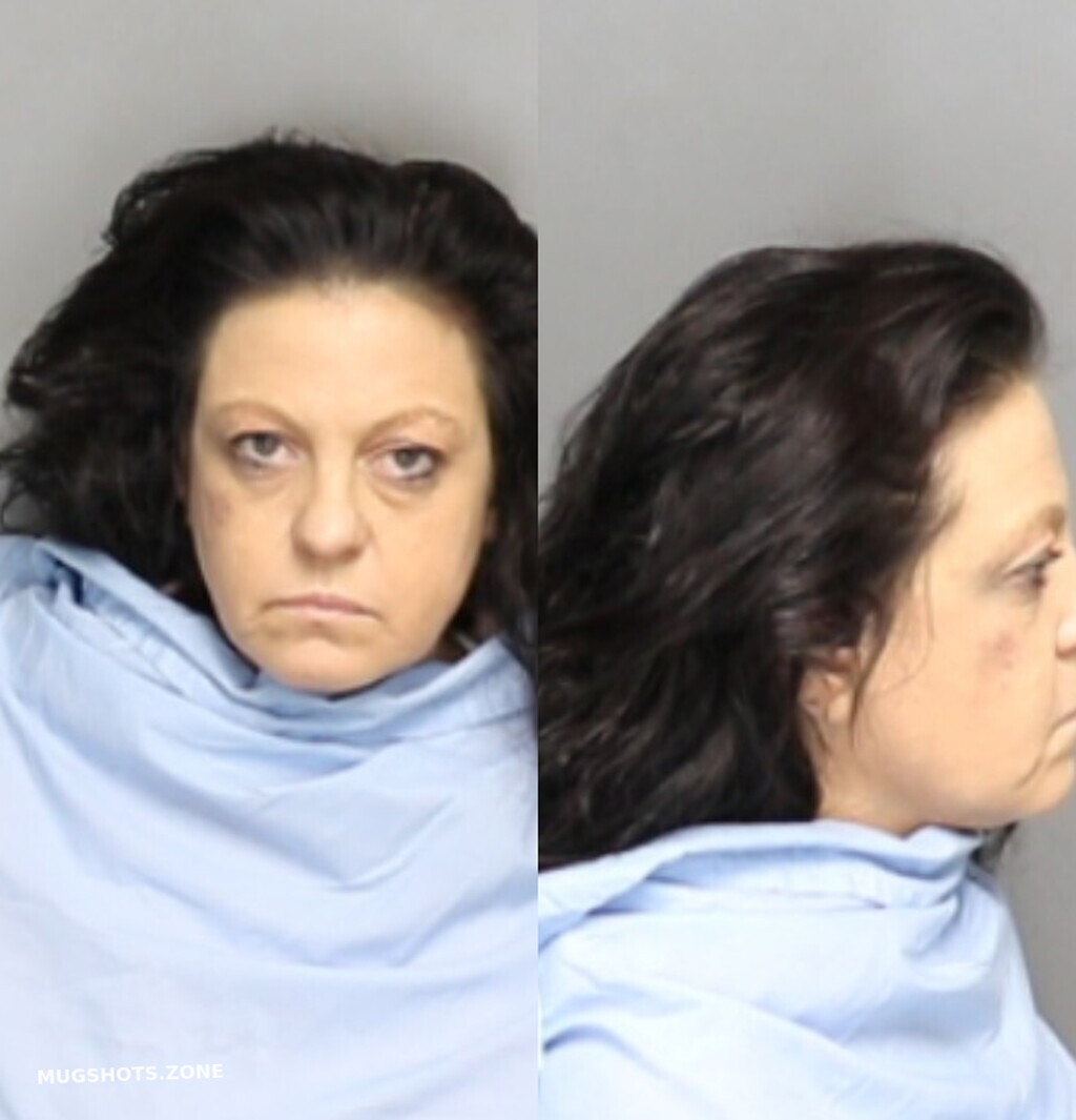 ROBINSON MANDY LEE 02/14/2026 - Champaign County Mugshots Zone