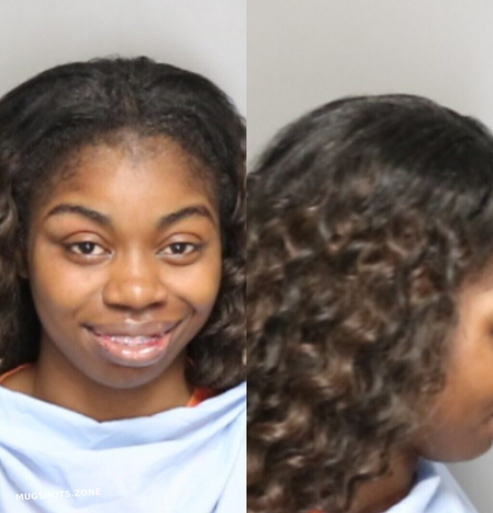 MCNEIL AMYA LATRICE 02/17/2026 - Champaign County Mugshots Zone