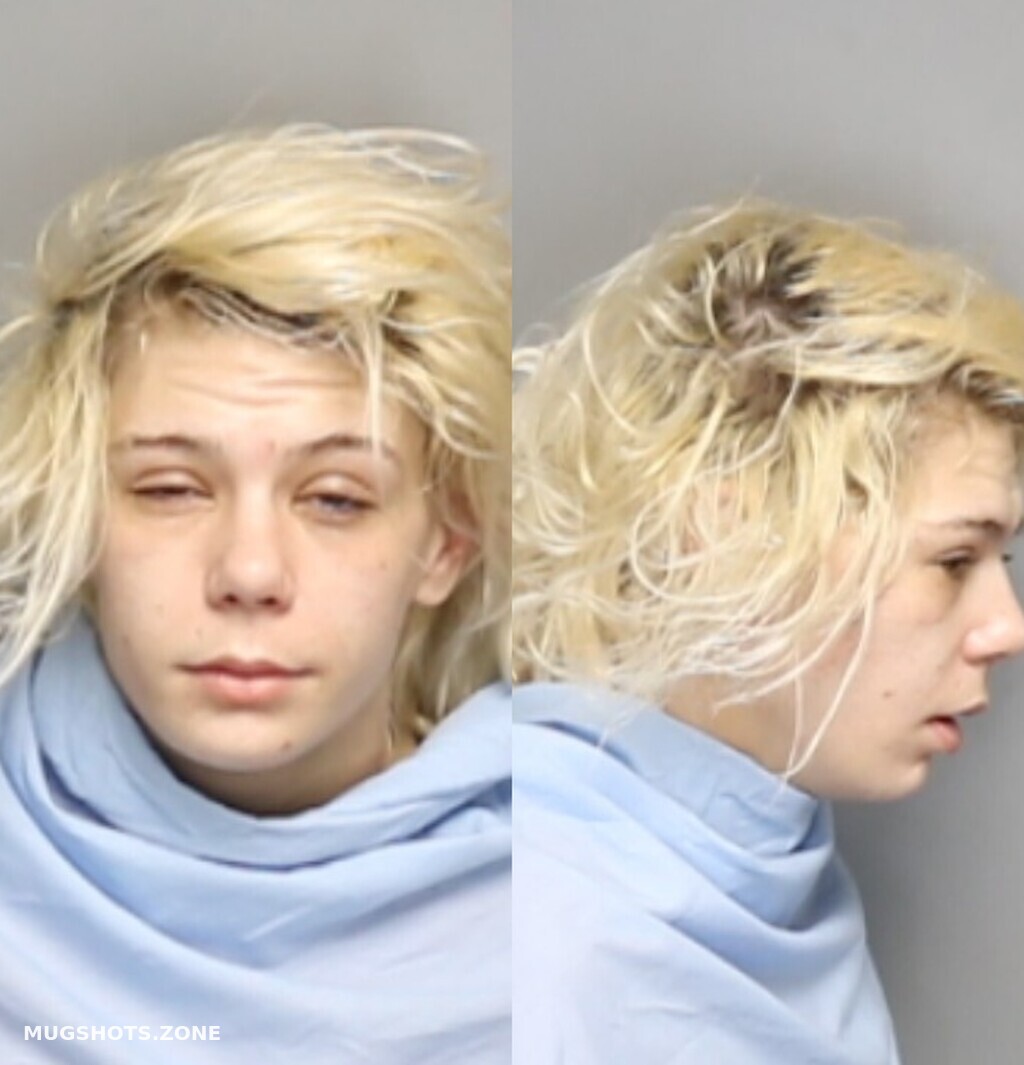 CONFER DESTINY LYNN 02/22/2026 - Champaign County Mugshots Zone