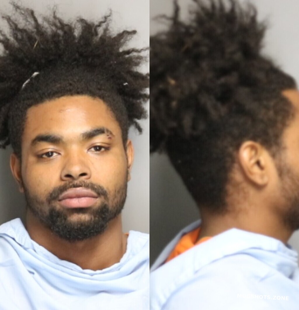 LOVE RODNEY KYLE THIRD 02/27/2026 - Champaign County Mugshots Zone